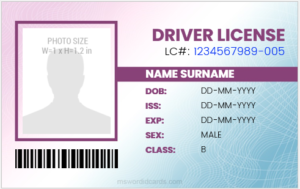 Driver License ID Card Templates for Word | Edit & print